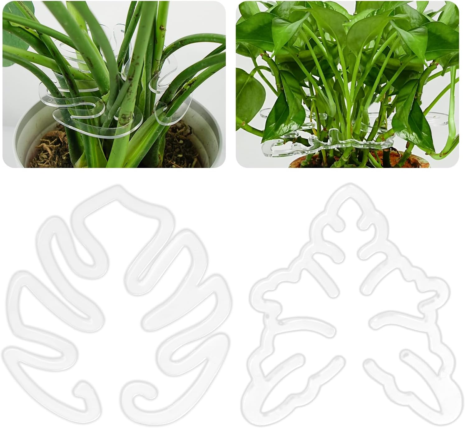 Amazon.com : YUEJIAO Turtle Shell Bamboo Clamp Set, 2-Pack Monstera ...