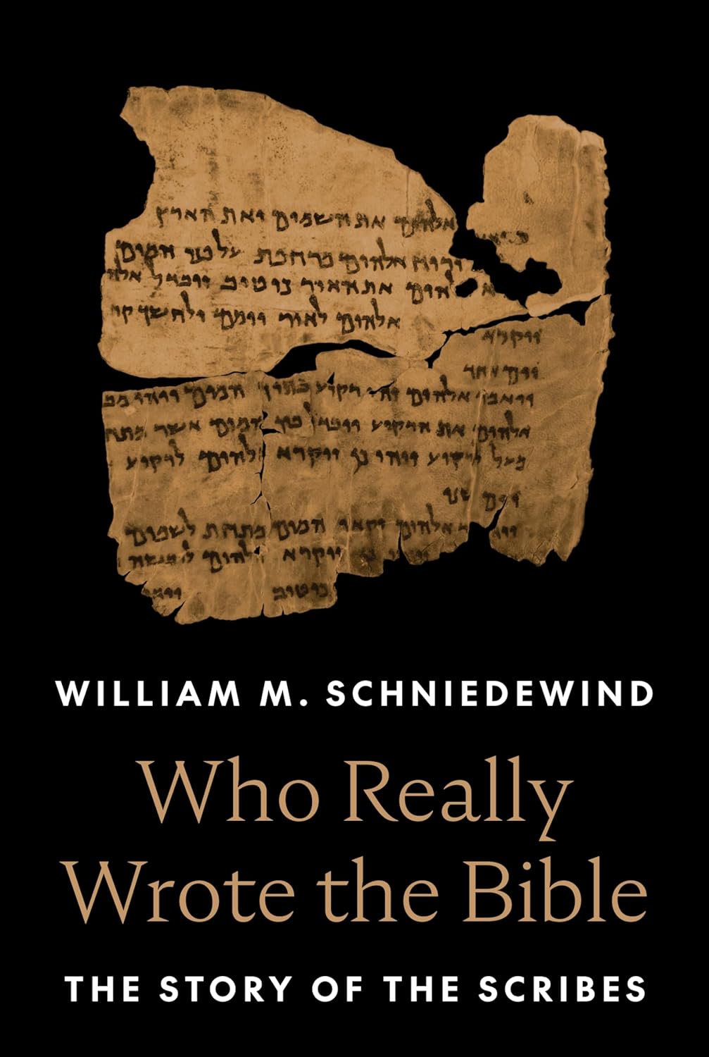 Who Really Wrote the Bible: The Story of the Scribes: Schniedewind ...