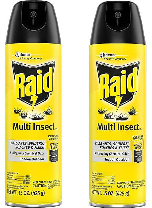 Amazon.com: Raid Multi Insect Killer 15 Ounce (Pack of 2) : Patio, Lawn ...