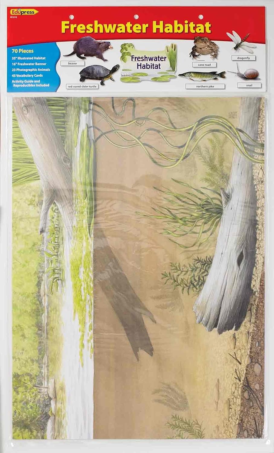 Amazon.com : Edupress Freshwater Habitat Bulletin Board Set (EP-2218 ...