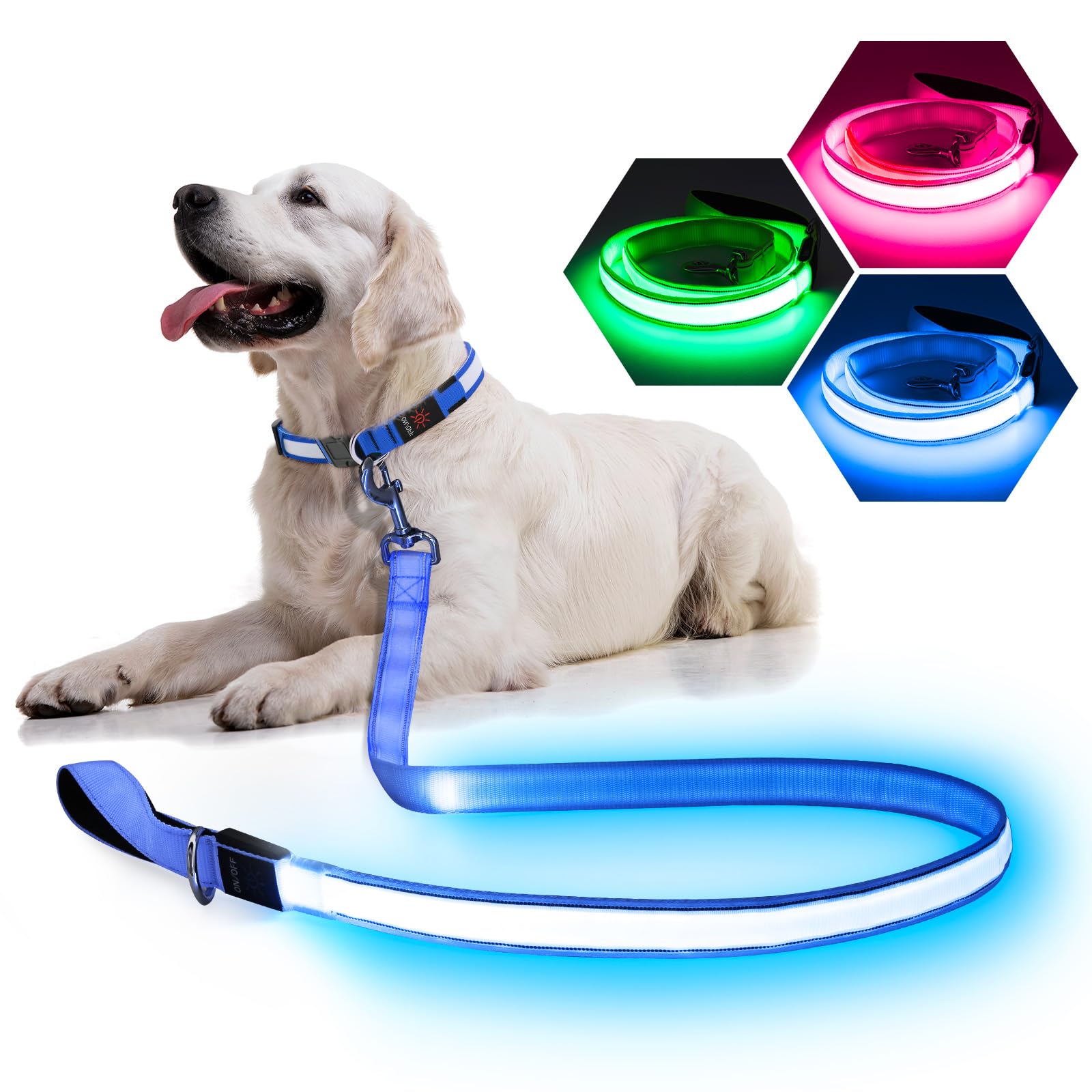 Amazon.com : PZRLit LED Light Up Dog Leash - 4 Ft USB Rechargeable ...