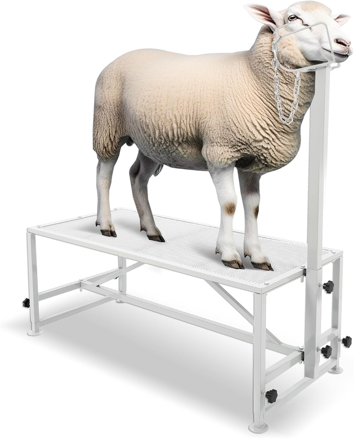 Amazon.com: Kojem Livestock Stand 51x23, Goat Milking Stand, Trimming ...