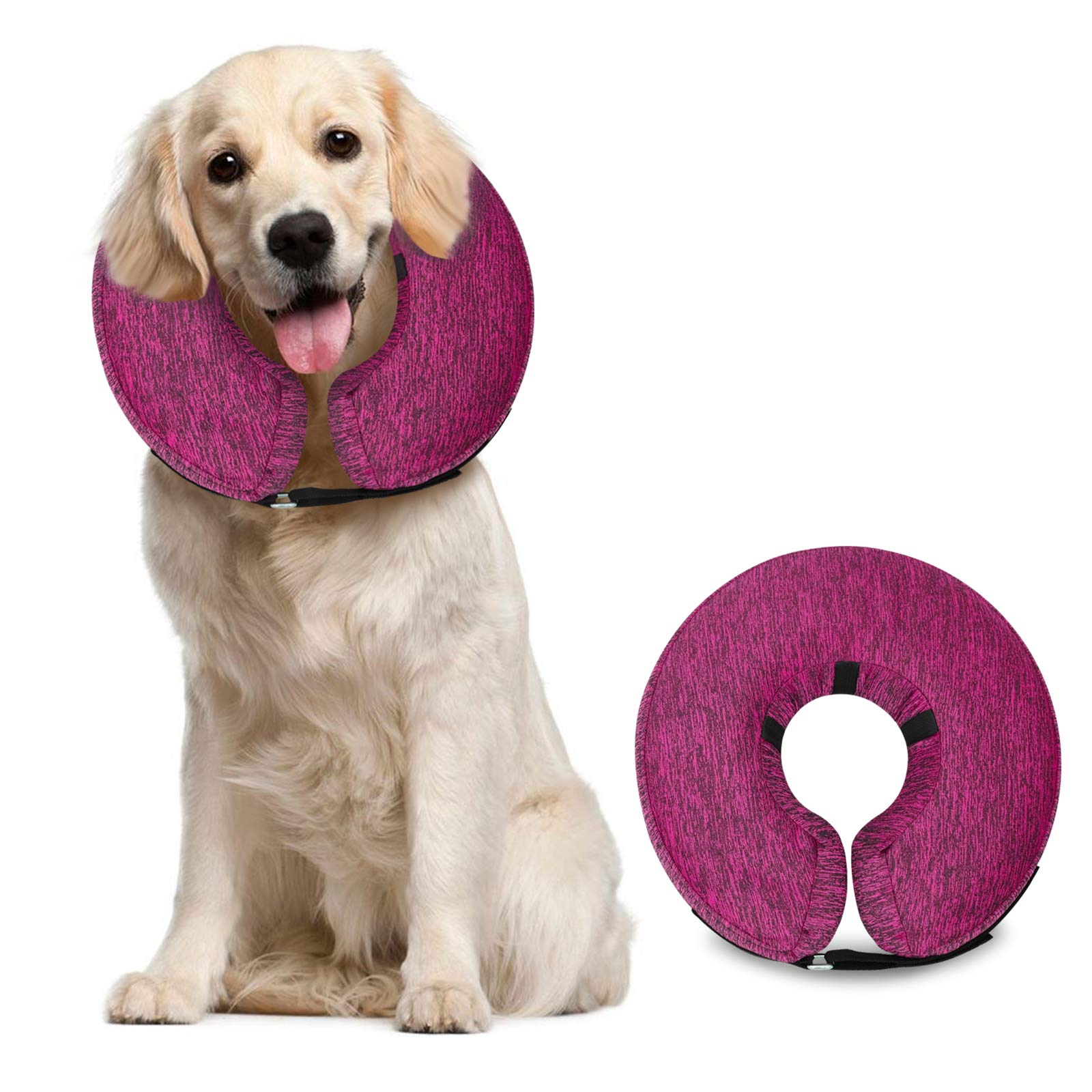 What Size Cone Should I Get For My Dog