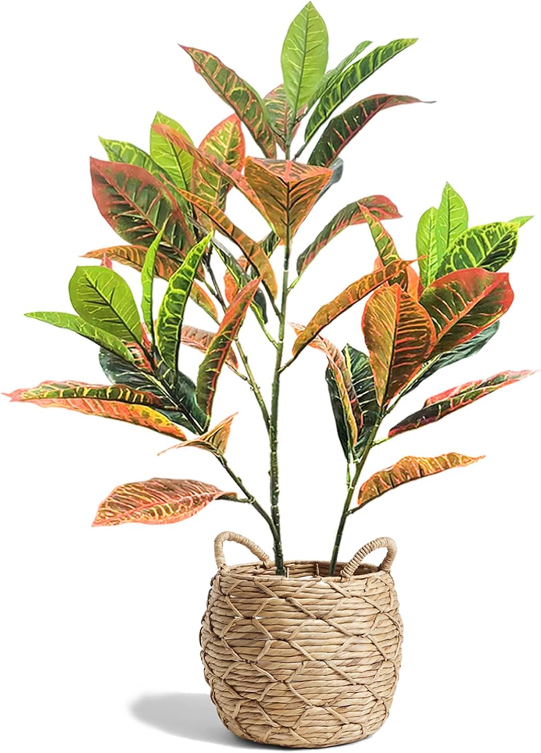 Amazon.com: 31in Tall Artificial Codiaeum Variegatum Tree Plant,Faux ...