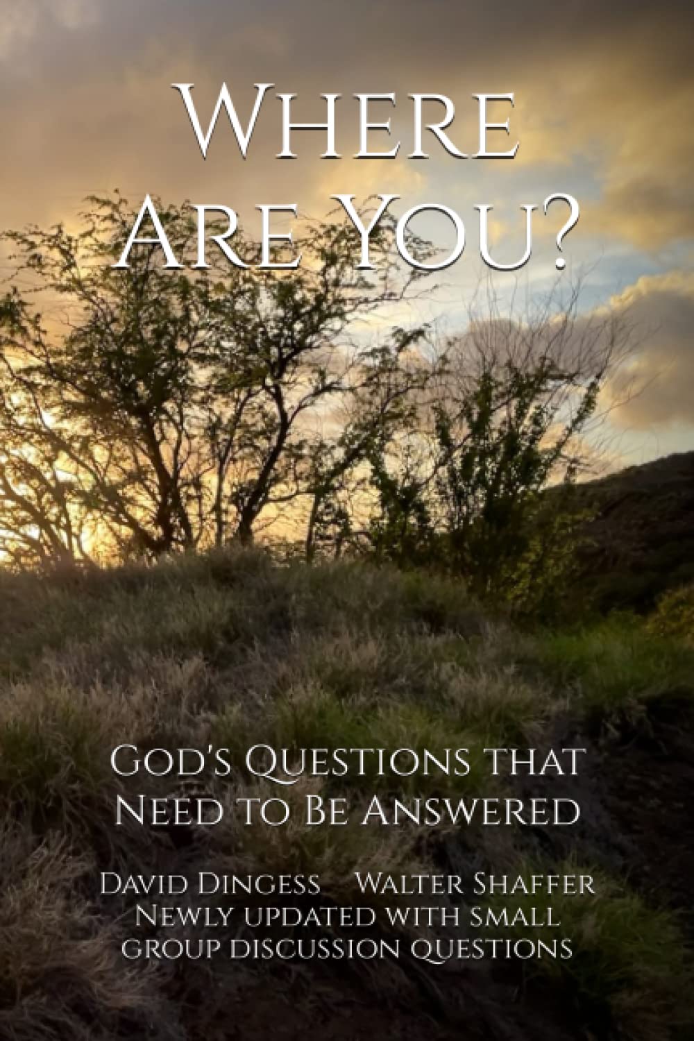 Where Are You?: God's Questions that Need to Be Answered: Dingess ...