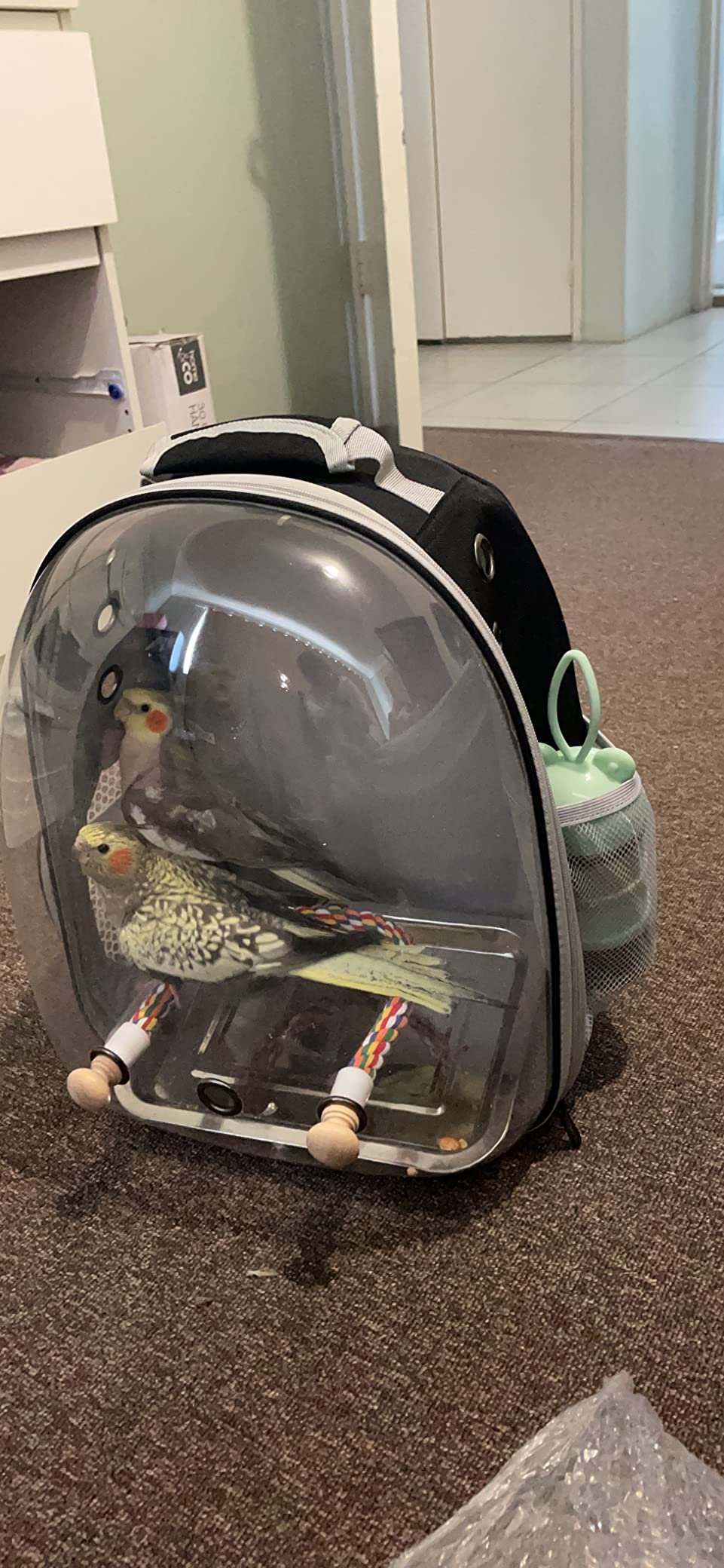 Bird Carrier Backpack, Bird Travel Backpack with Stainless Steel Tray ...