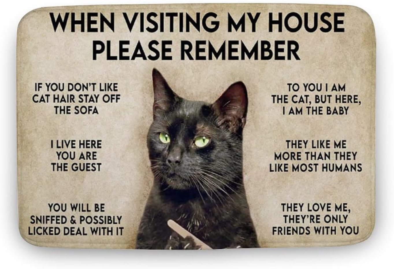 Amazon.com: ORIWAVE Please Remember When Visiting Cats House ...