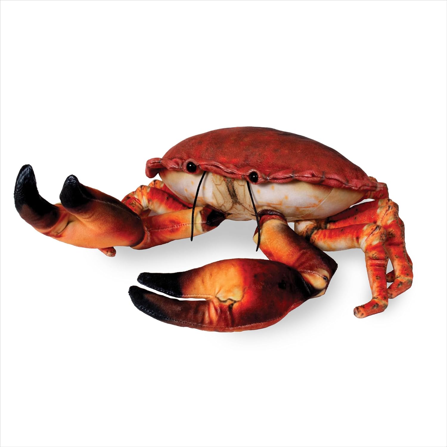 Amazon.com: Real Planet 10" Crab Stuffed Animal - Realistic Crab ...