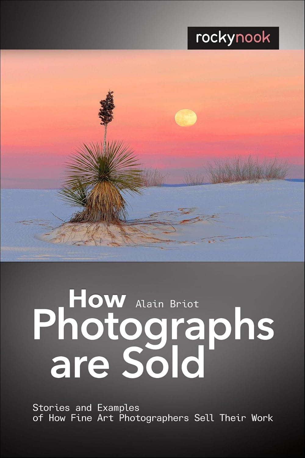 How Photographs are Sold: Stories and Examples of How Fine Art ...