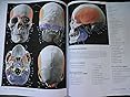 Human Osteology: White, Tim D., Black, Michael T., Folkens, Pieter A ...