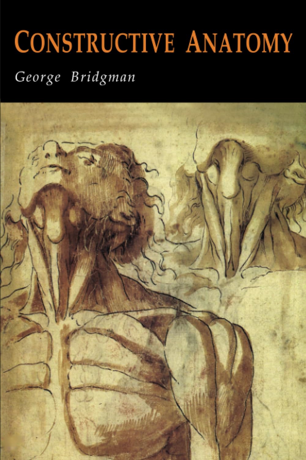 Constructive Anatomy: Bridgman, George B.: 9781684222643: Amazon.com: Books