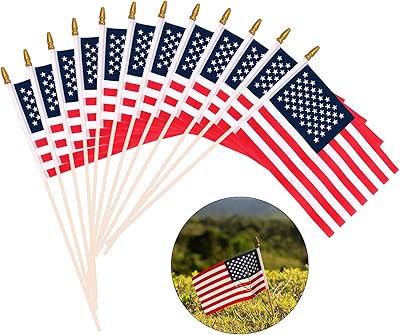 Amazon.com : Anley USA United States Mini Flag 12 Pack - Hand Held ...