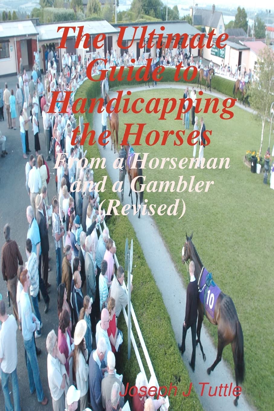 The Ultimate Guide To Handicapping The Horses: From A Horseman And A ...