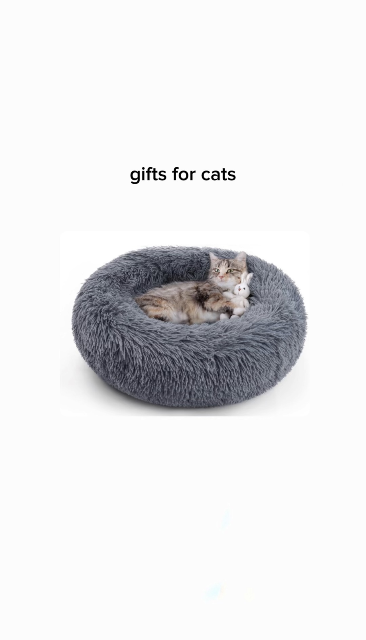 Watch gift ideas for cats on Amazon Live