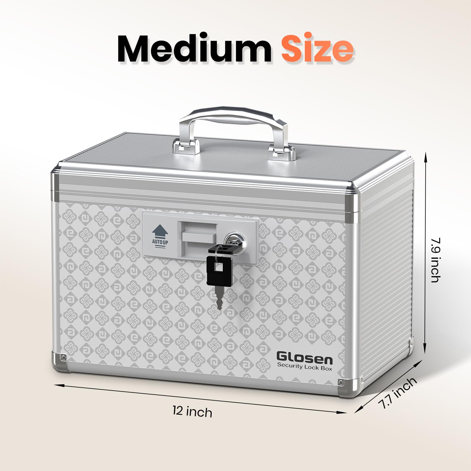 Snapklik.com : Glosen Medicine Lock Box Storage Lock Box Grey 12 X 7.68 ...