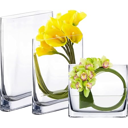 Amazon.com: CYS EXCEL Glass Rectangle Vase (H:6" Open:7"x2") | Multiple ...