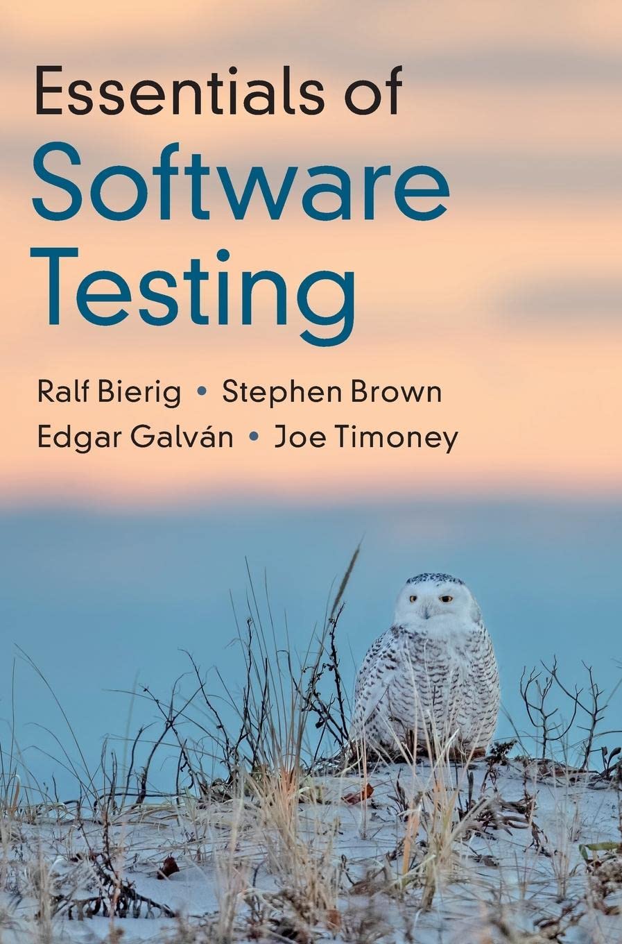 ESSENTIALS OF SOFTWARE TESTING : Galvan, Edgar, Timoney, Joe, Bierig ...