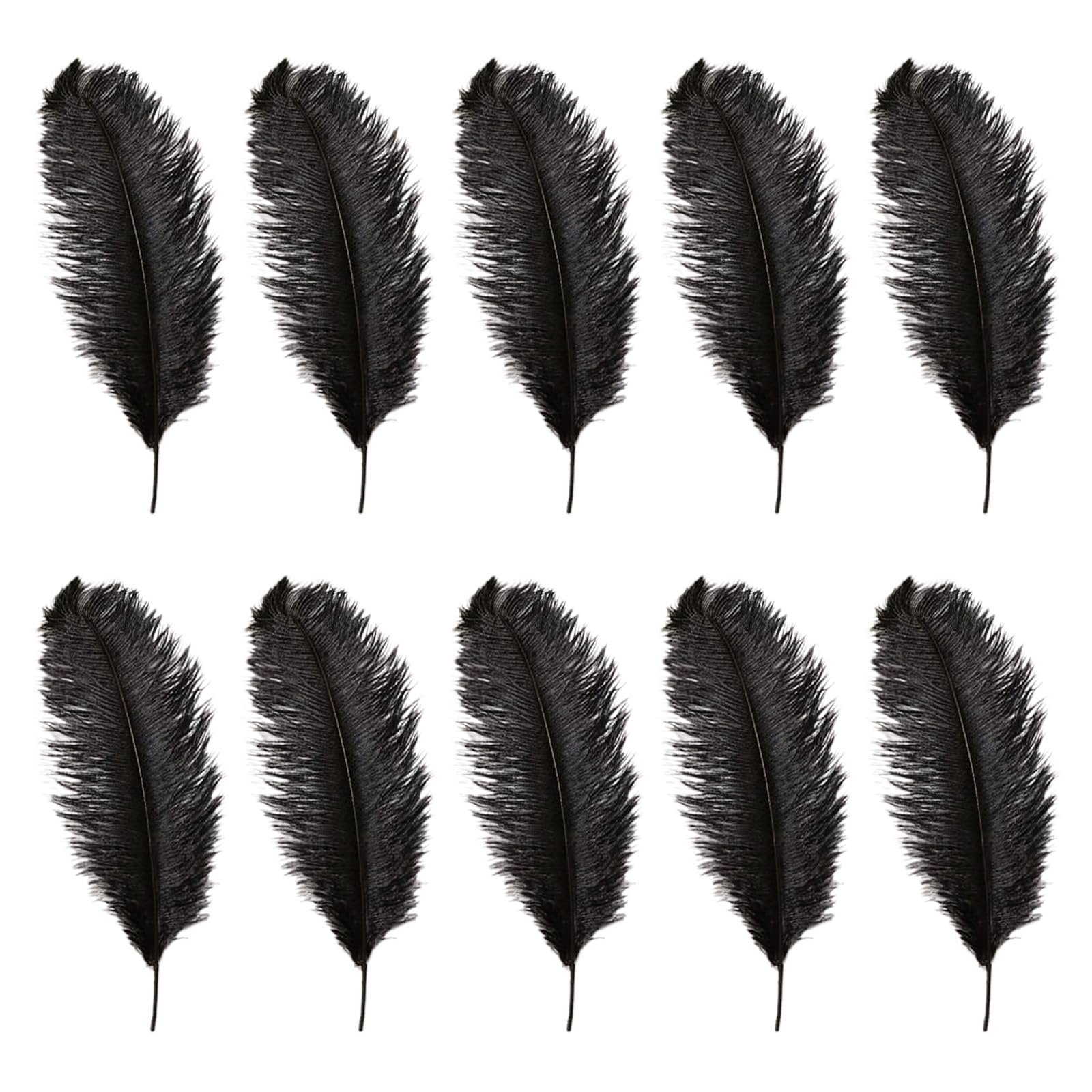 Amazon.com: Rgontar 8-10 inches Black Ostrich Feather,Large Natural ...