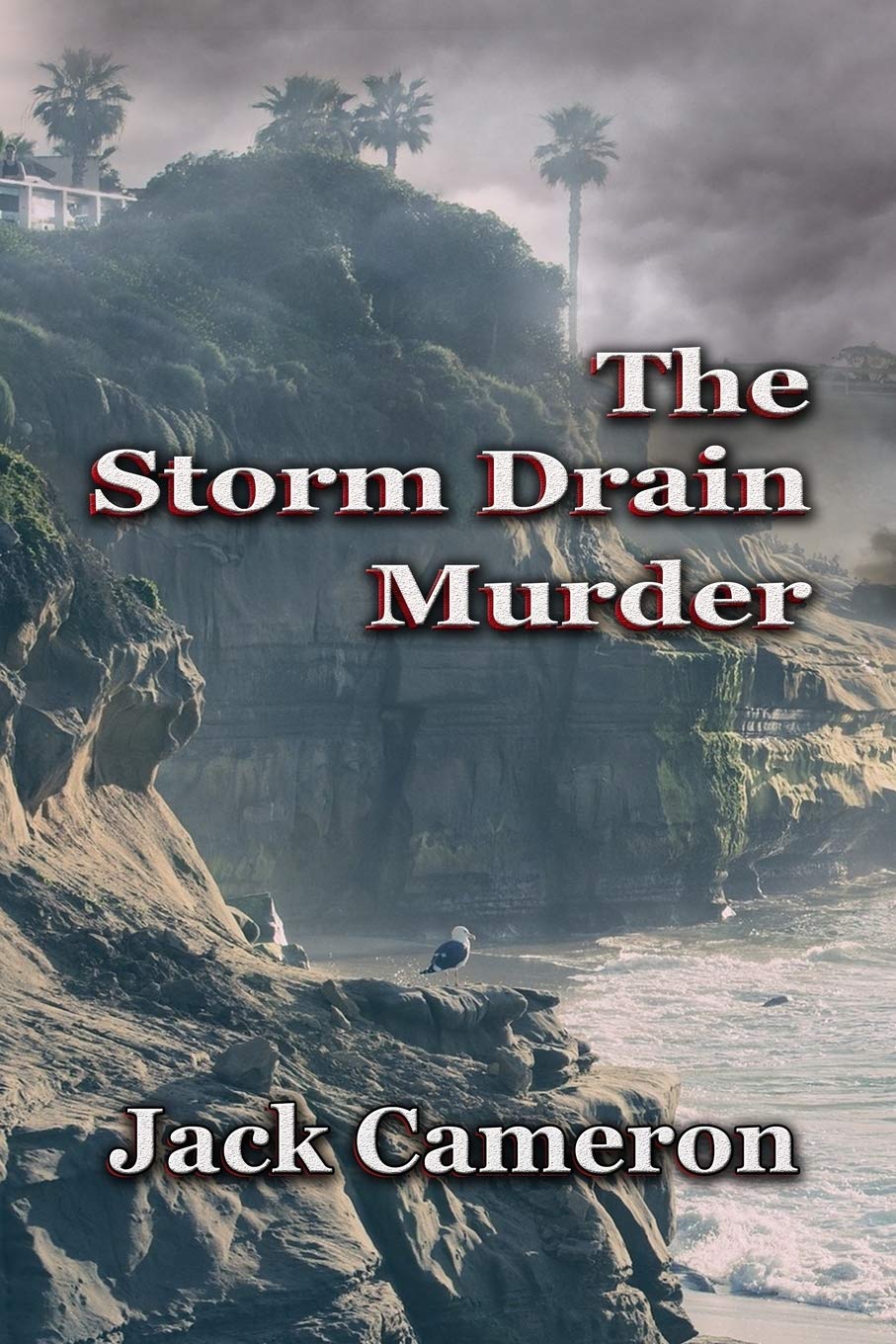 The Storm Drain Murder: Cameron, Jack: 9781548186364: Amazon.com: Books