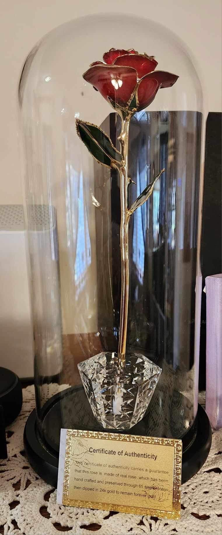 Amazon.com: AliveRose Glass Display Dome,13" x 6" Cloche with Black ...