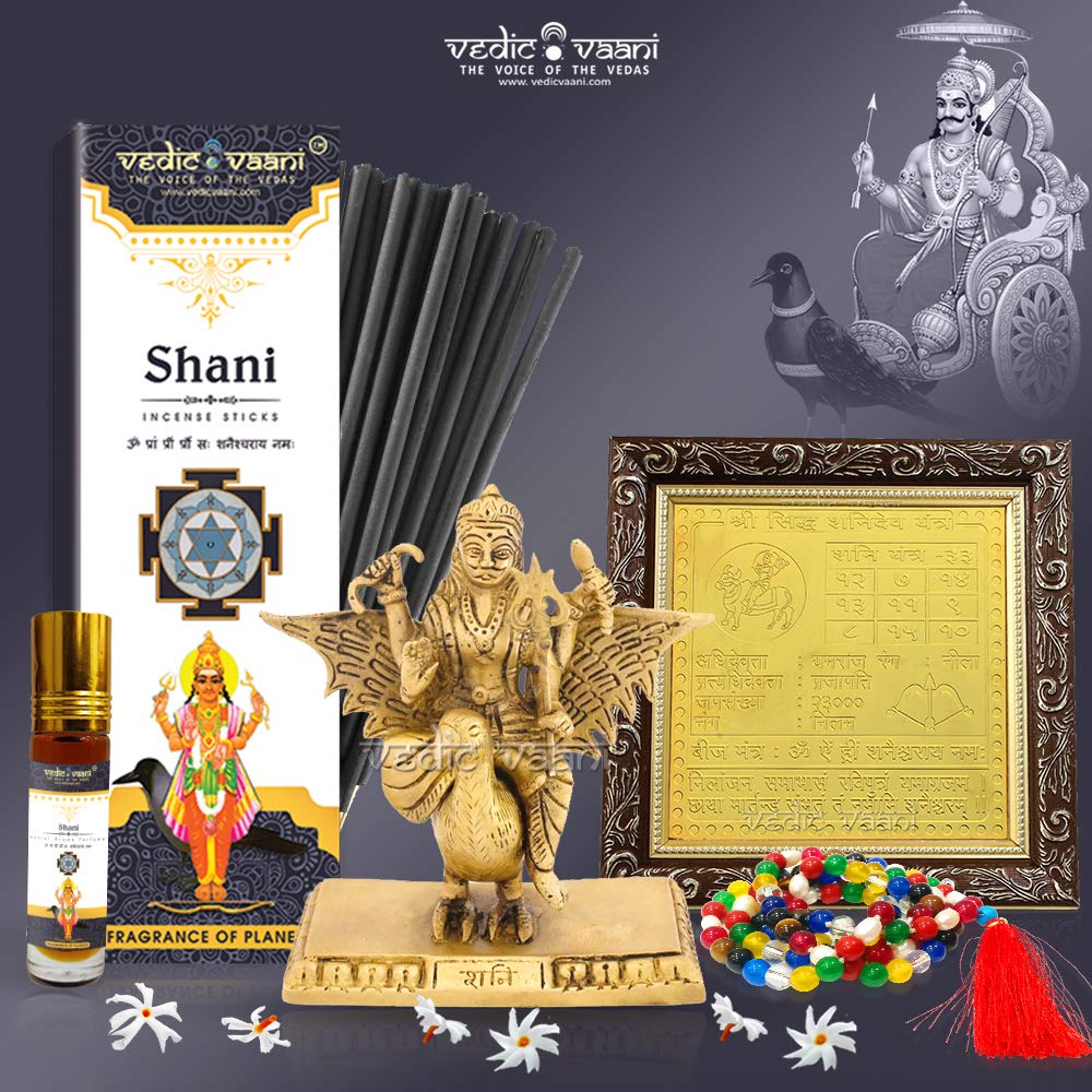 Buy Vedic Vaani Lord Shani Idol | Sidh Shani Dev Yantra | Navaratan Jap ...