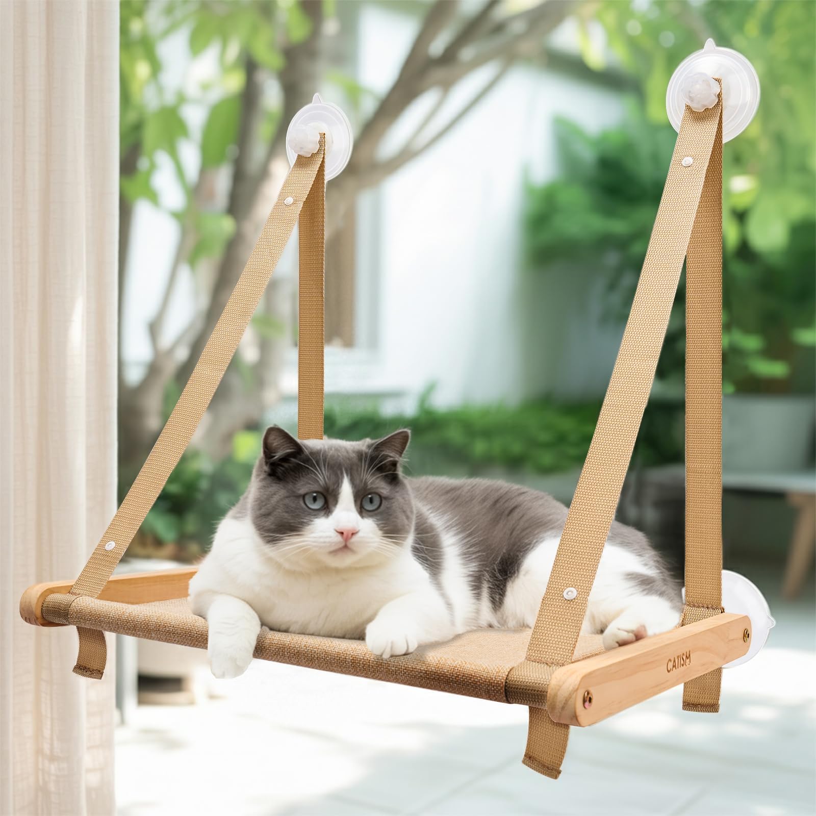 Amazon.com : HibroPet Cat Window Perch and Cat Wall Shelves 2 in 1,Cat ...