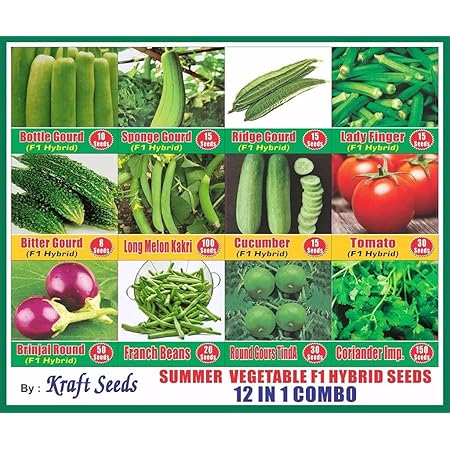 Kraft Seeds Summer Vegetable Hybrid Seeds Combo (12 In 1) : Amazon.in ...