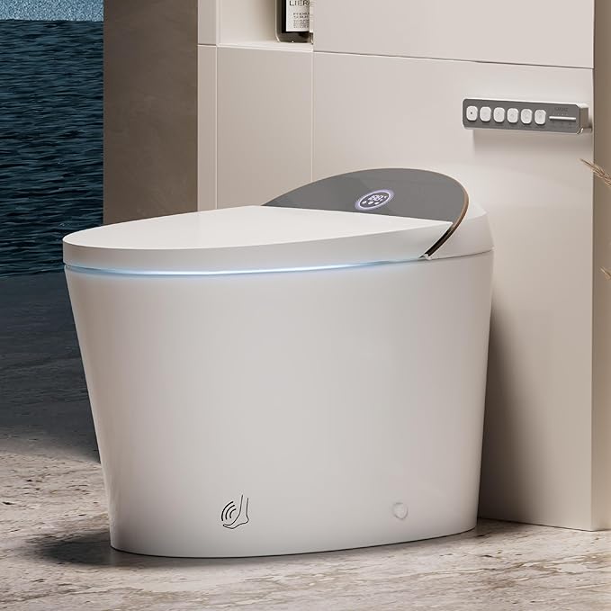 CANEST Smart Toilet with Bidet Built in, Elongated Toilets with Heated ...