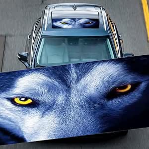 Amazon.com: nuoozy Universal Car Sunroof Decals 3D Creative Eye ...