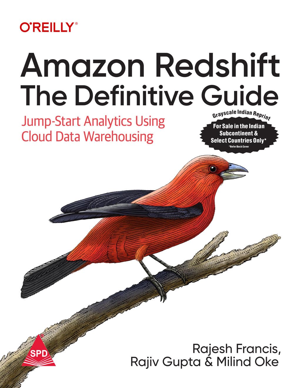 Buy Amazon Redshift: The Definitive Guide - Jump-Start Analytics Using Cloud Data Warehousing ...