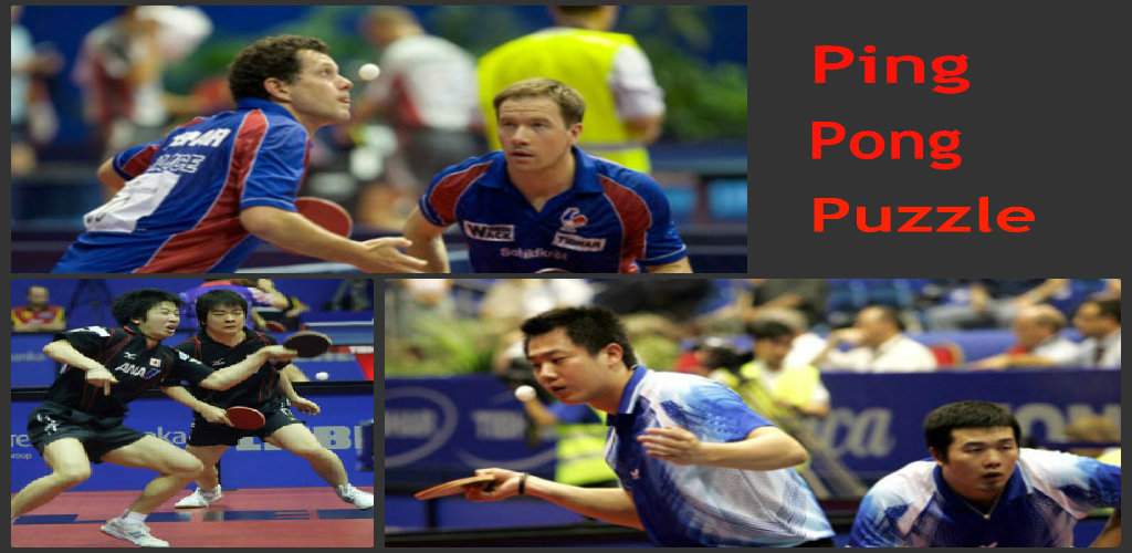 Ping Pong Puzzle:Amazon.com:Appstore for Android