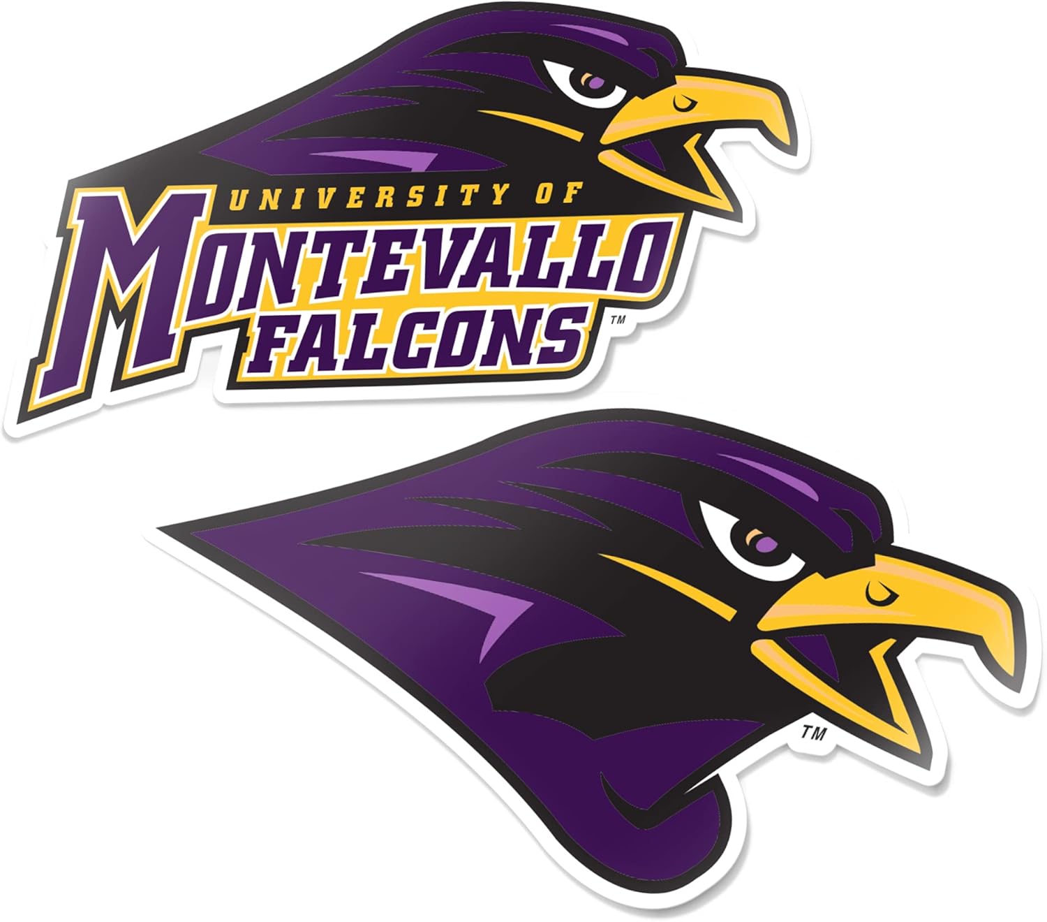 Amazon.com: Desert Cactus University of Montevallo Sticker Montevallo ...