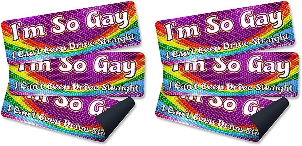 Amazon.com: Anley I'm So Gay I Can't Even Drive Straight Car Magnet ...