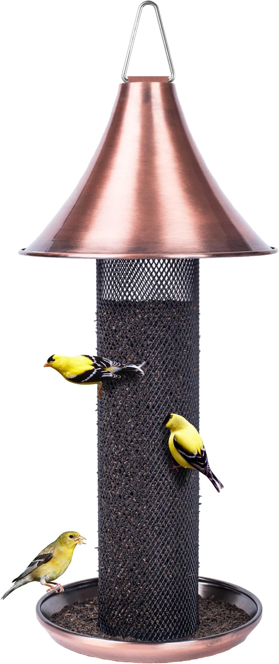Amazon.com : S&K Manufacturing TRFF Tornado Rainbow Finch Bird Feeder ...