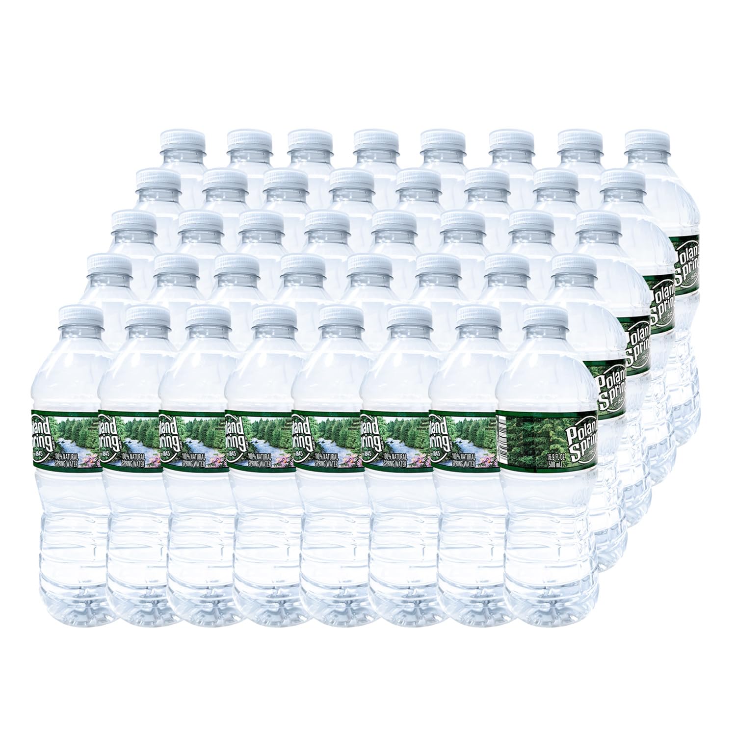 Amazon.com: Poland Spring Natural Mineral Water 16.9 oz. 40 pk ...