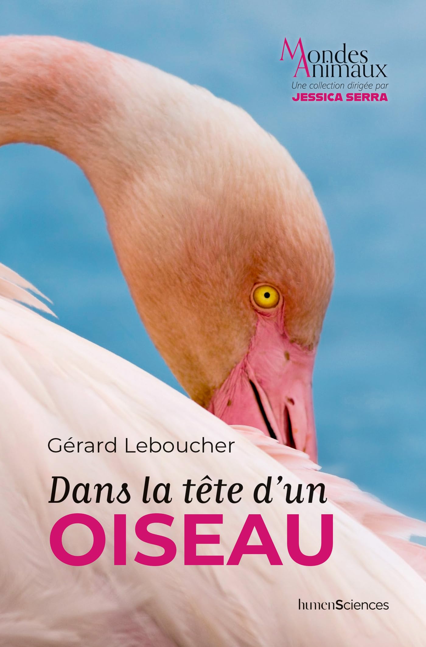 Amazon.fr - Dans la tête d'un oiseau - LEBOUCHER, Gérard, Serra ...