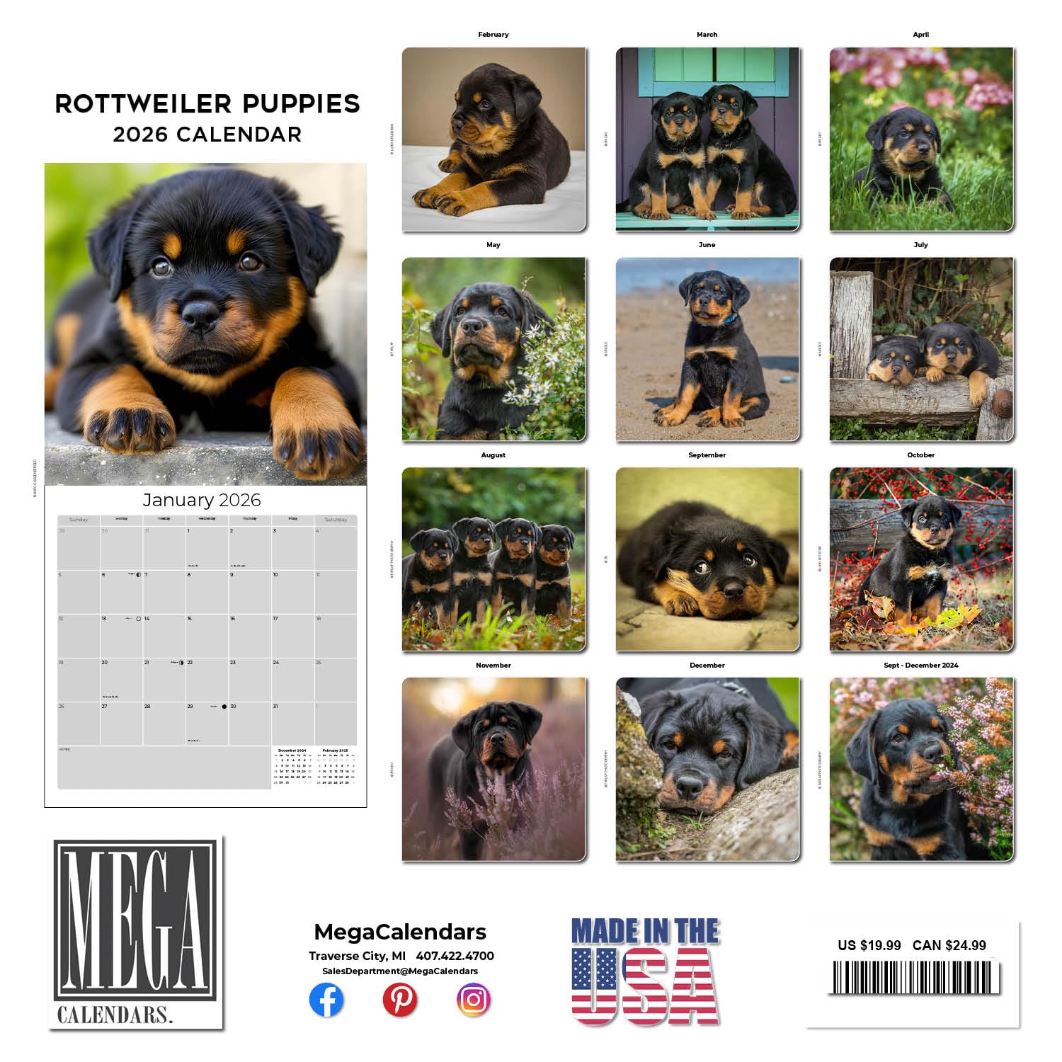 Snapklik.com : 2024 2025 Rottweiler Puppies Calendar - Dog Breed ...