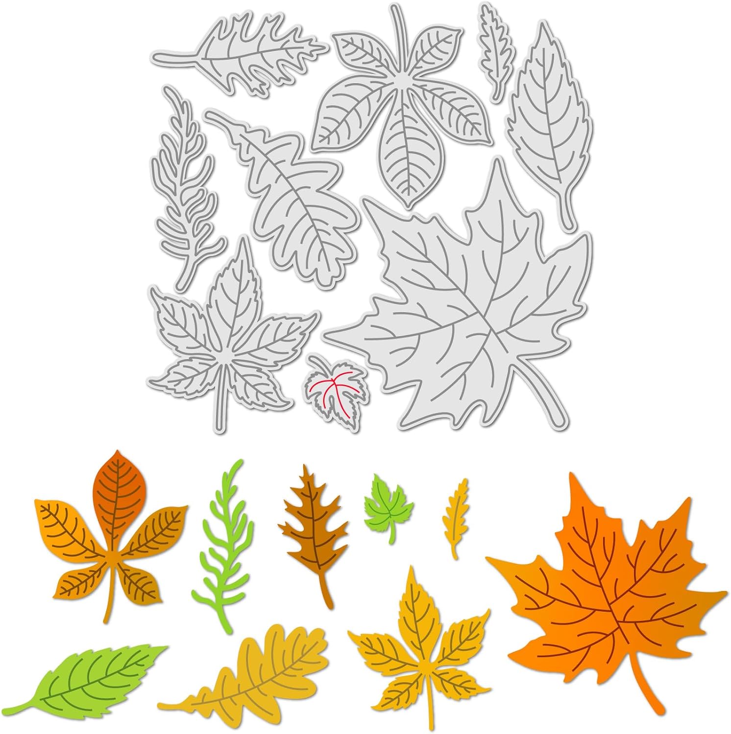 Amazon.com : Arbuya 9 pcs Fall Leaves Metal Cutting Dies - Maple, Oak ...