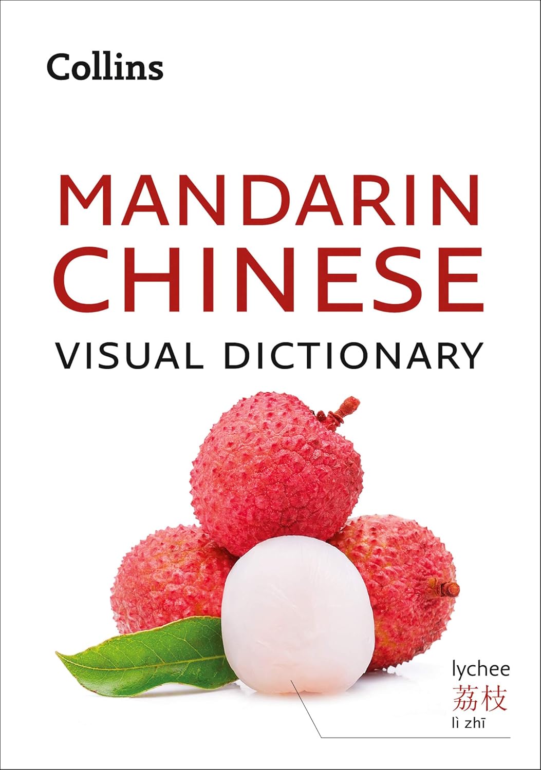 Mandarin Chinese Visual Dictionary: A photo guide to everyday words and ...