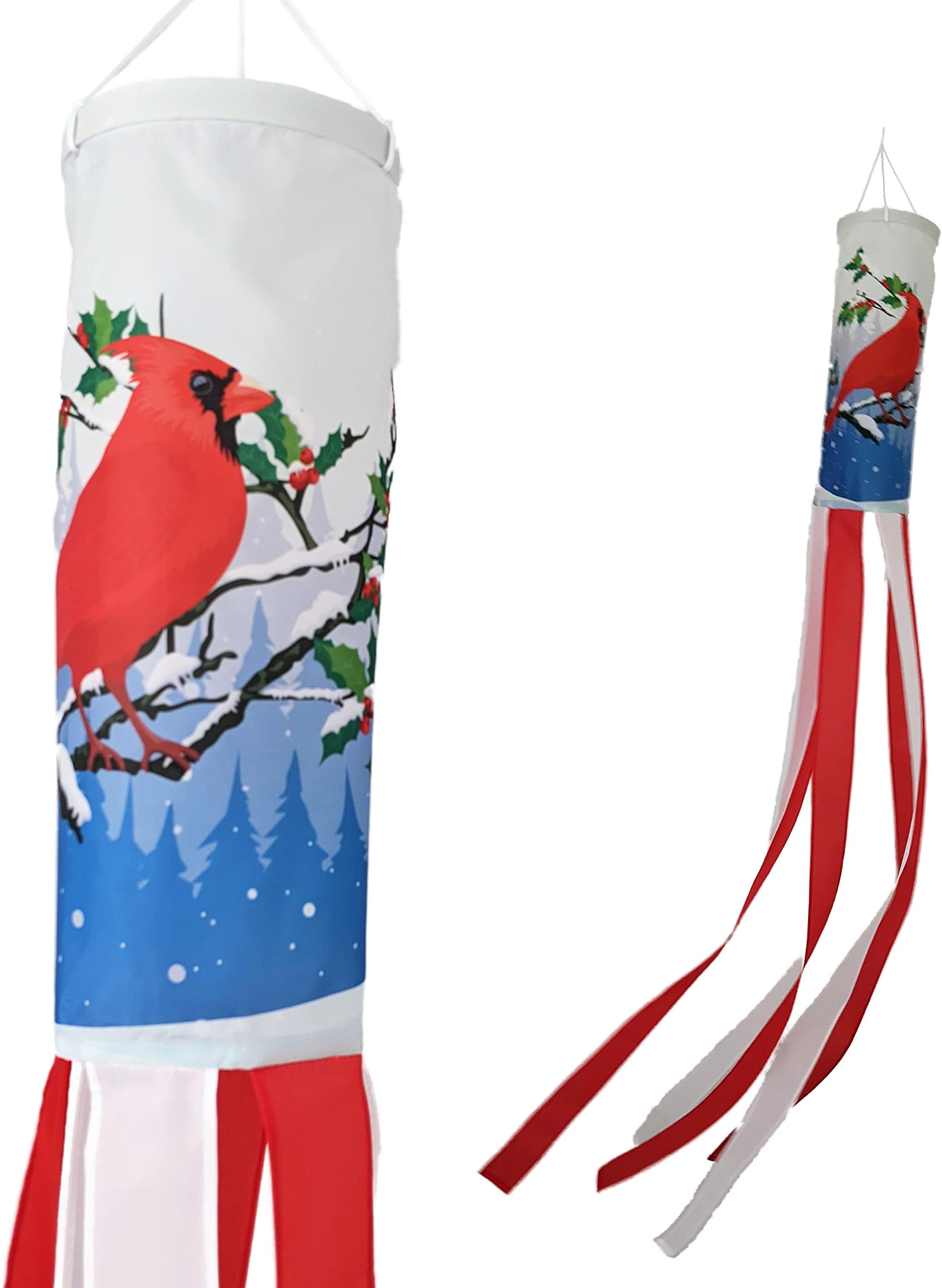 Amazon.com : Madrona Brands Hummingbird Windsock | Durable Outdoor ...