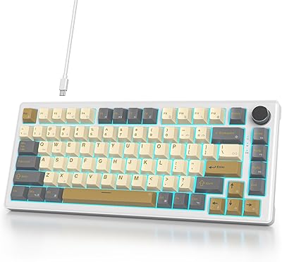 RK ROYAL KLUDGE R75 Mechanical Keyboard Wired with Volumn Knob, 75% TKL ...