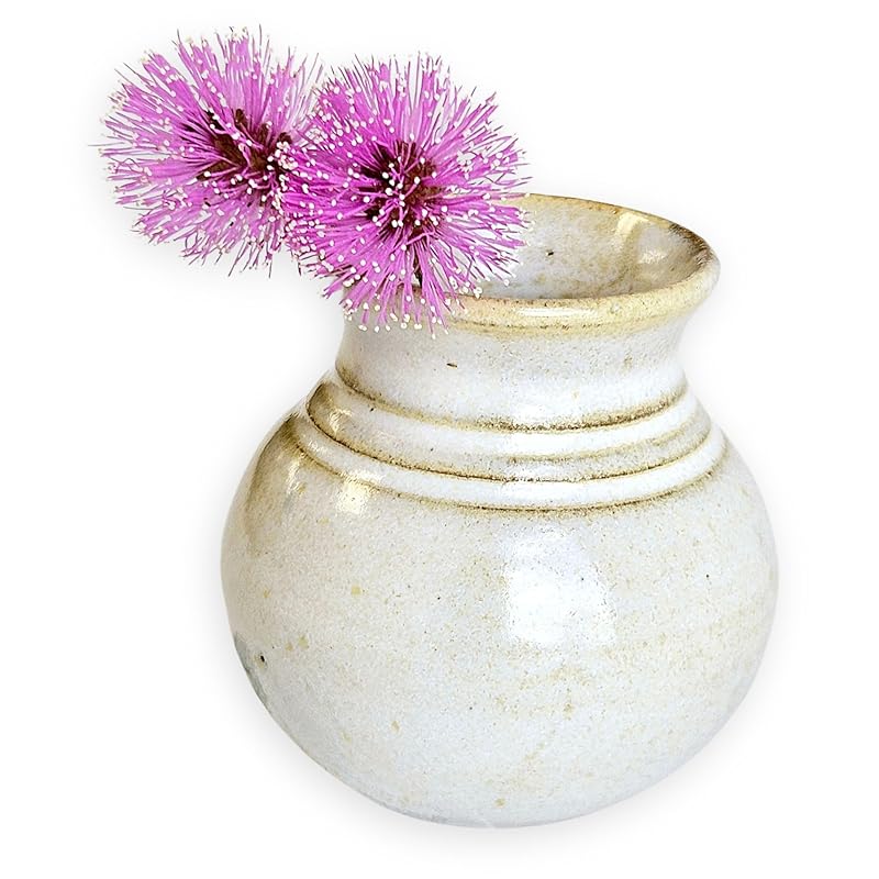 Amazon.com: Handcrafted Miniature Ceramic Flower Vase – Thoughtful ...