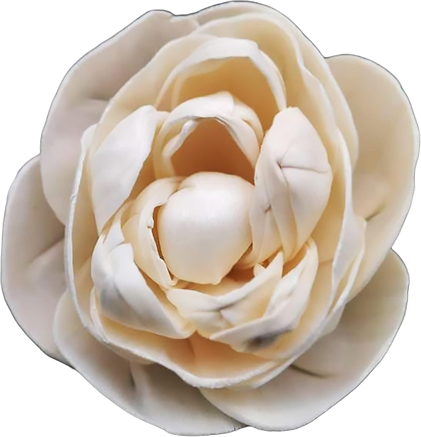 Amazon.com: Chandler Wood Flowers Ultra Fine Handmade Wooden Bloom DIY ...