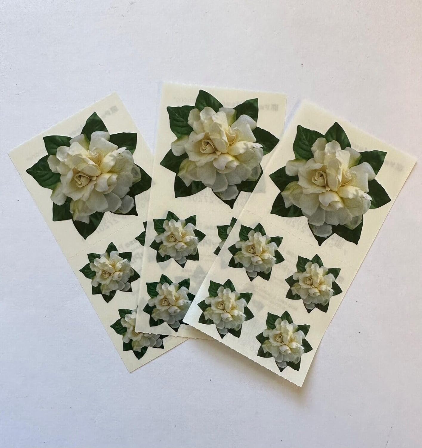 Amazon.com: White Gardenia Flower Planner Stickers Papercraft Scrapbook ...