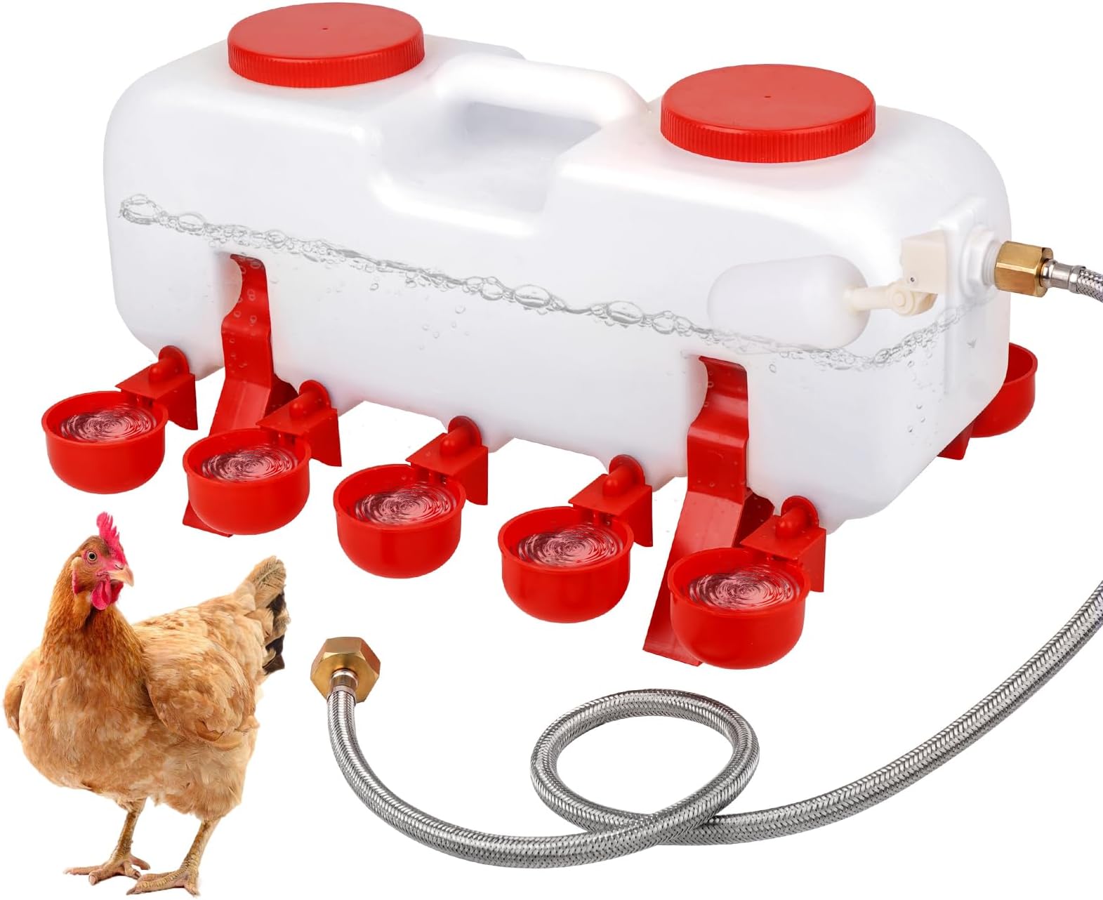 Amazon.com: KHEARPSL Automatic Chicken Waterer 3 Gallon Chicken Water ...
