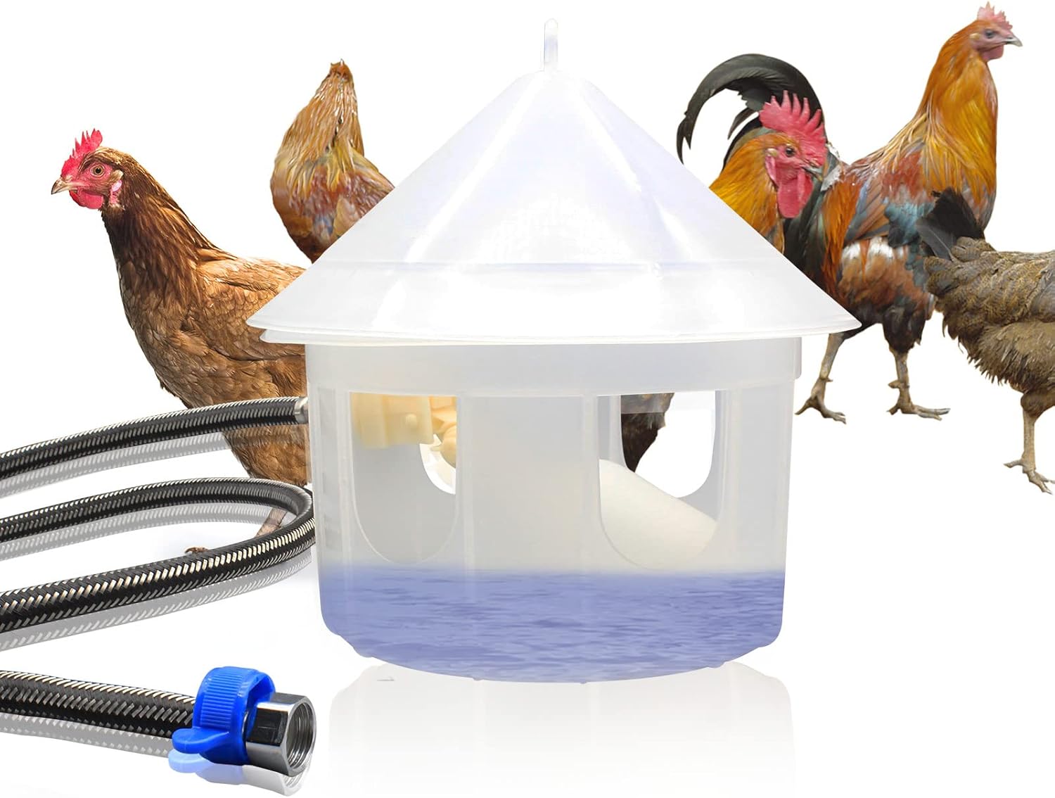 Amazon.com: GIFANK 【Clearance】 Automatic Chicken Waterer Float ...