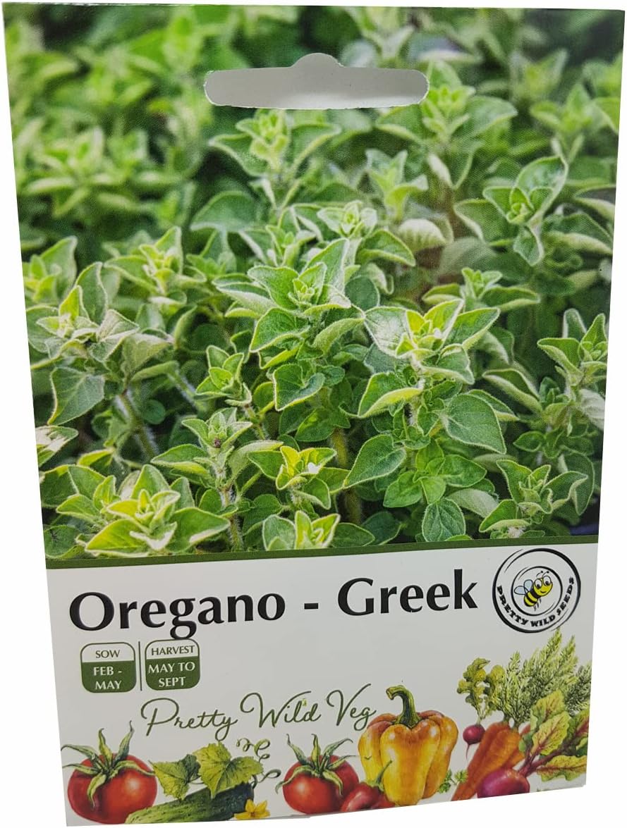 Greek Oregano Seeds Herb Vegetable Fruit Seeds Veg Seeds : Amazon.co.uk ...