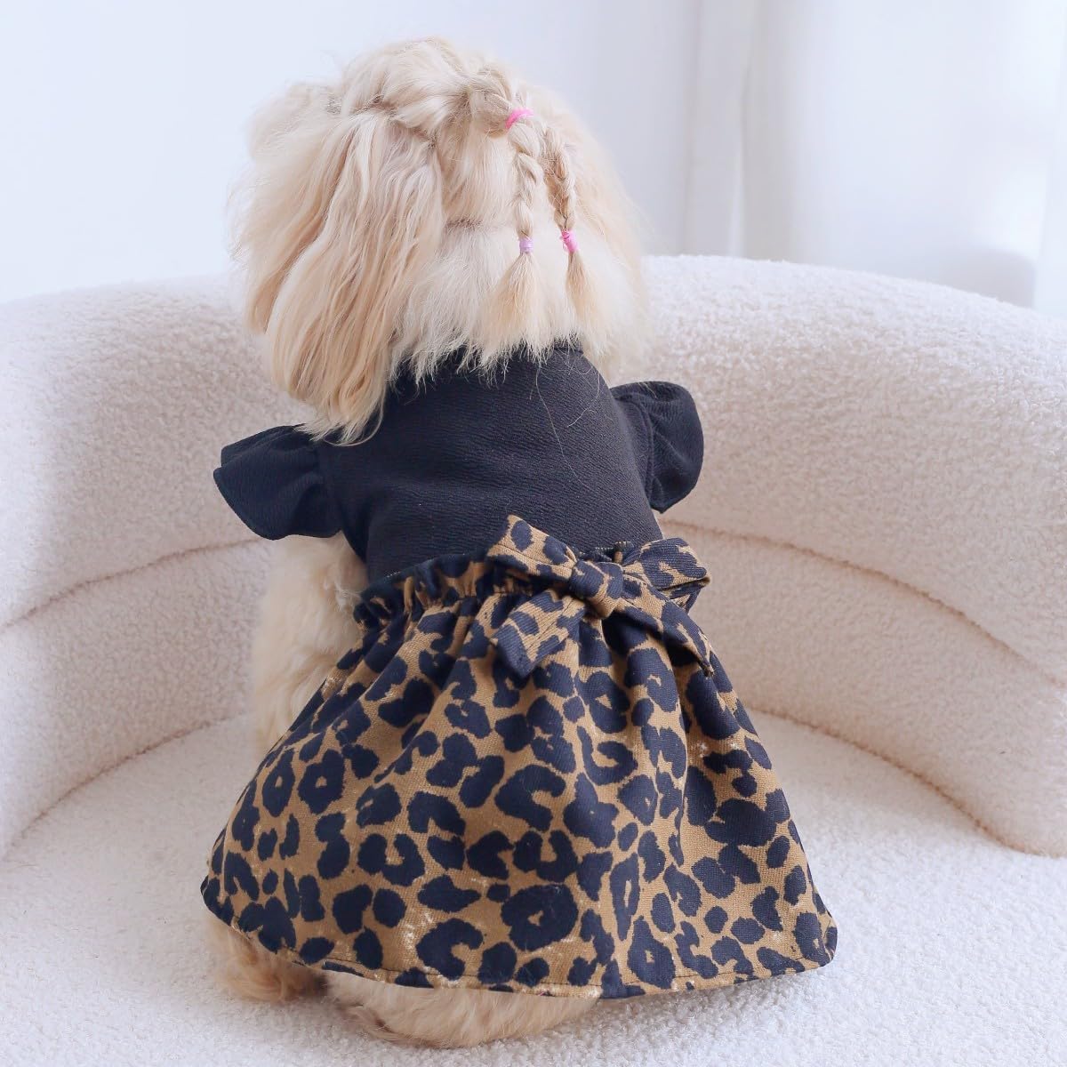 Amazon.com : 1PC Fashionable Leopard Print Dog Dress with Black Lace ...