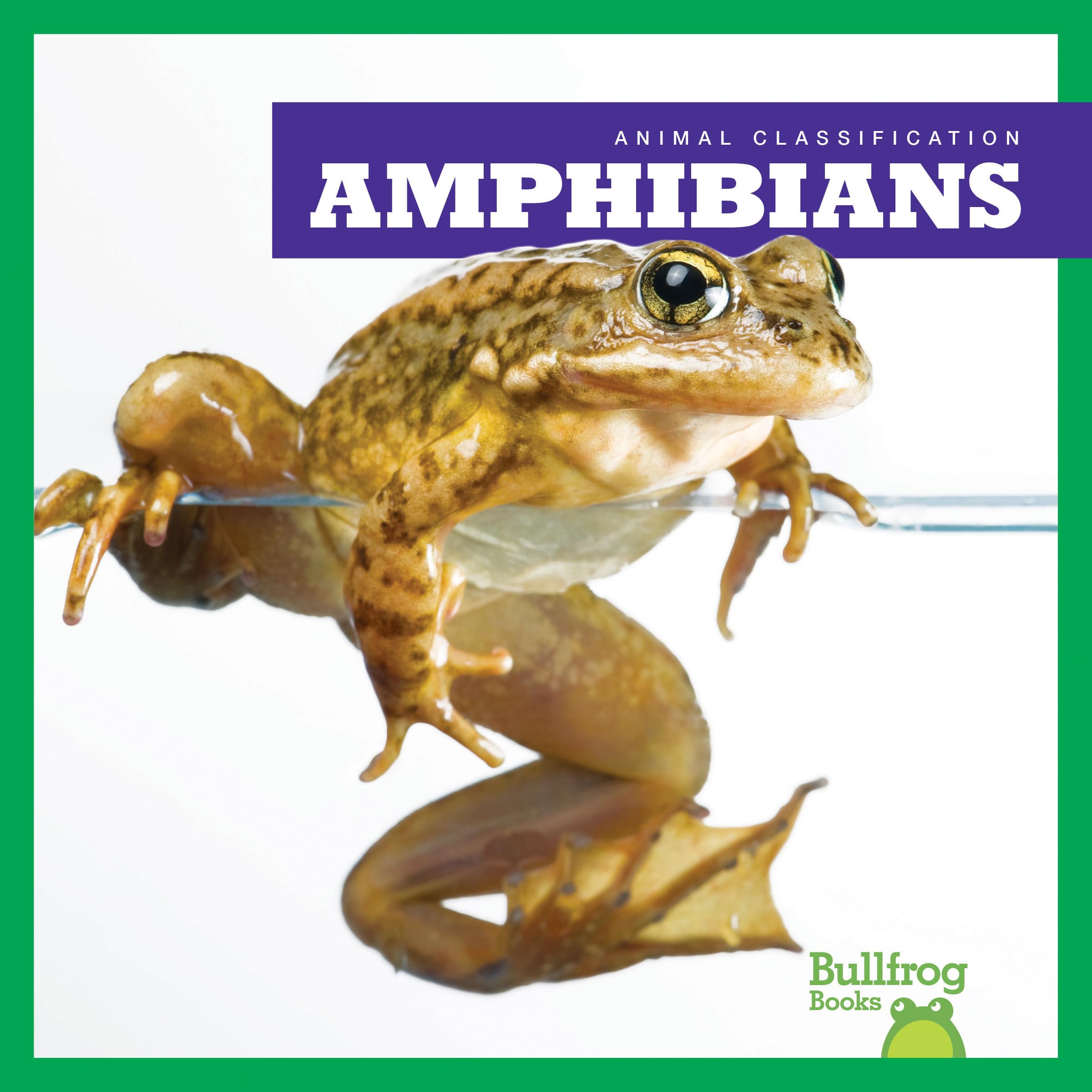 Amazon.com: Amphibians (Bullfrog Books: Animal Classification ...