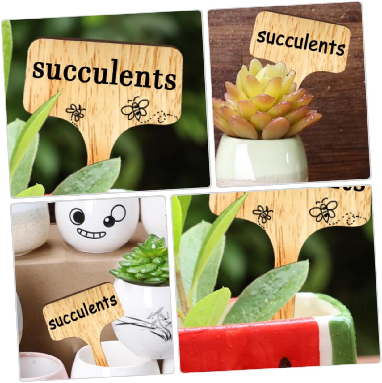 Happyyami 1 Set 50Pcs T-Shaped Wooden Plant Sign Insert suculentas Mini ...